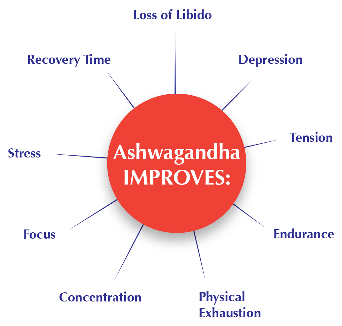 ADAPT TO STRESS NATURALLY WITH THESE POWER HERBS | InfoMedica USA