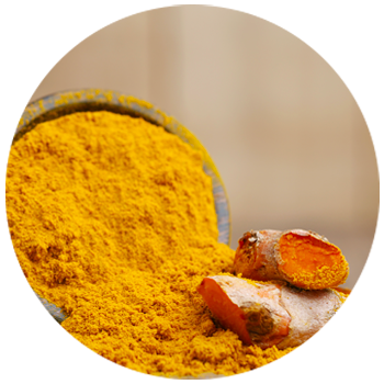 Curcumin with Turmeric Essential Oil | InfoMedica USA
